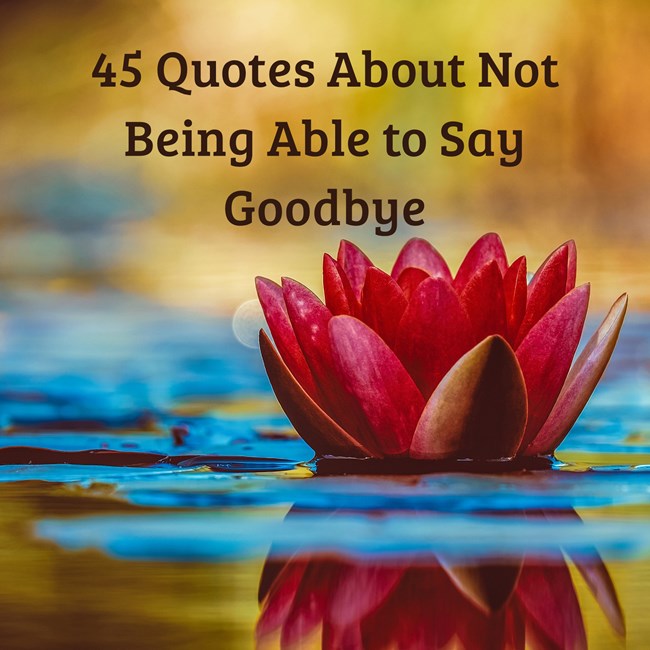 Unsaid Goodbye Quotes 100+ Best Goodbye Quotes For Saying Meaningful